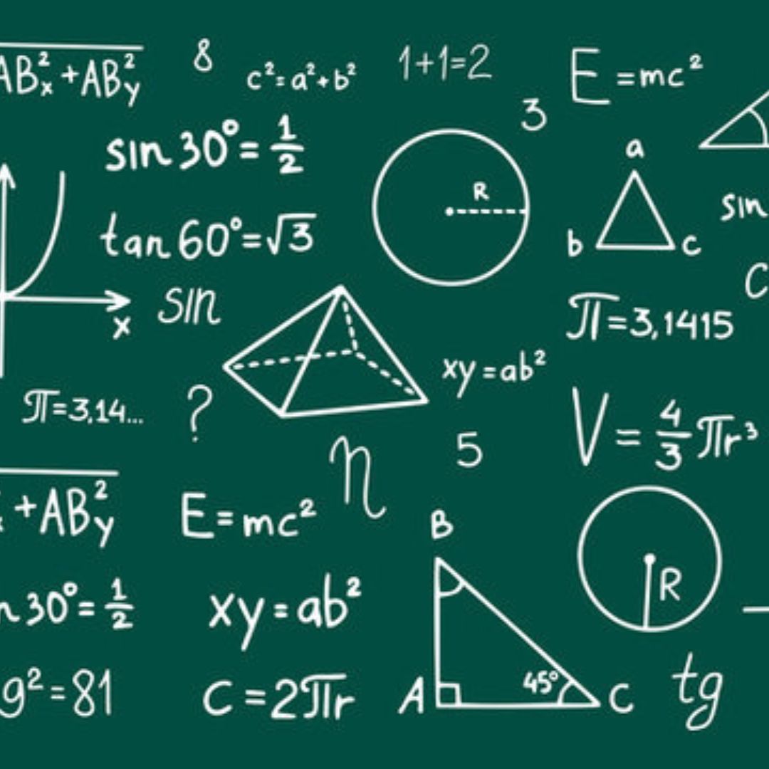 Rina Ogino | Professional Portfolio